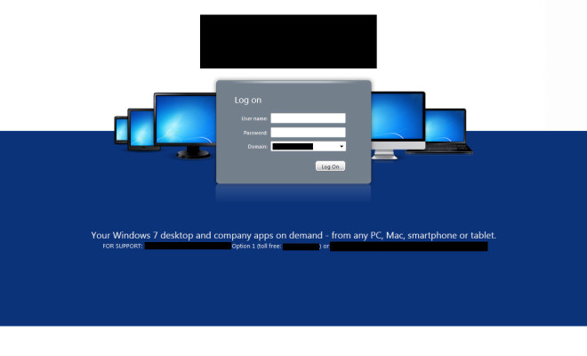 Citrix Access Gateway Custom Theme
