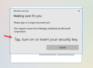 Using Windows Hello FIDO2 capability with web browsers, Microsoft WVD, Teams, and native Windows ...